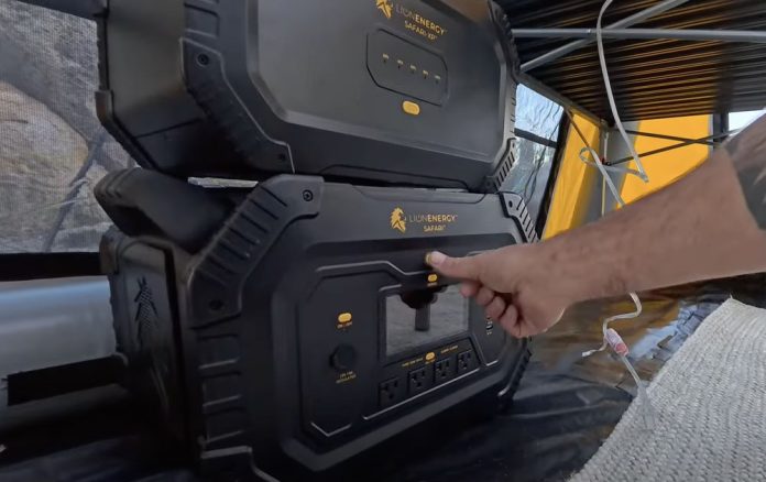 Lion Energy Safari Review